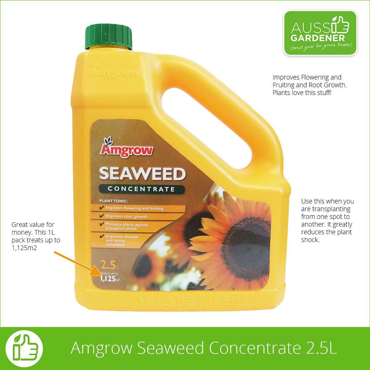 Amgrow Seaweed Concentrate 500mL | Aussie Gardener