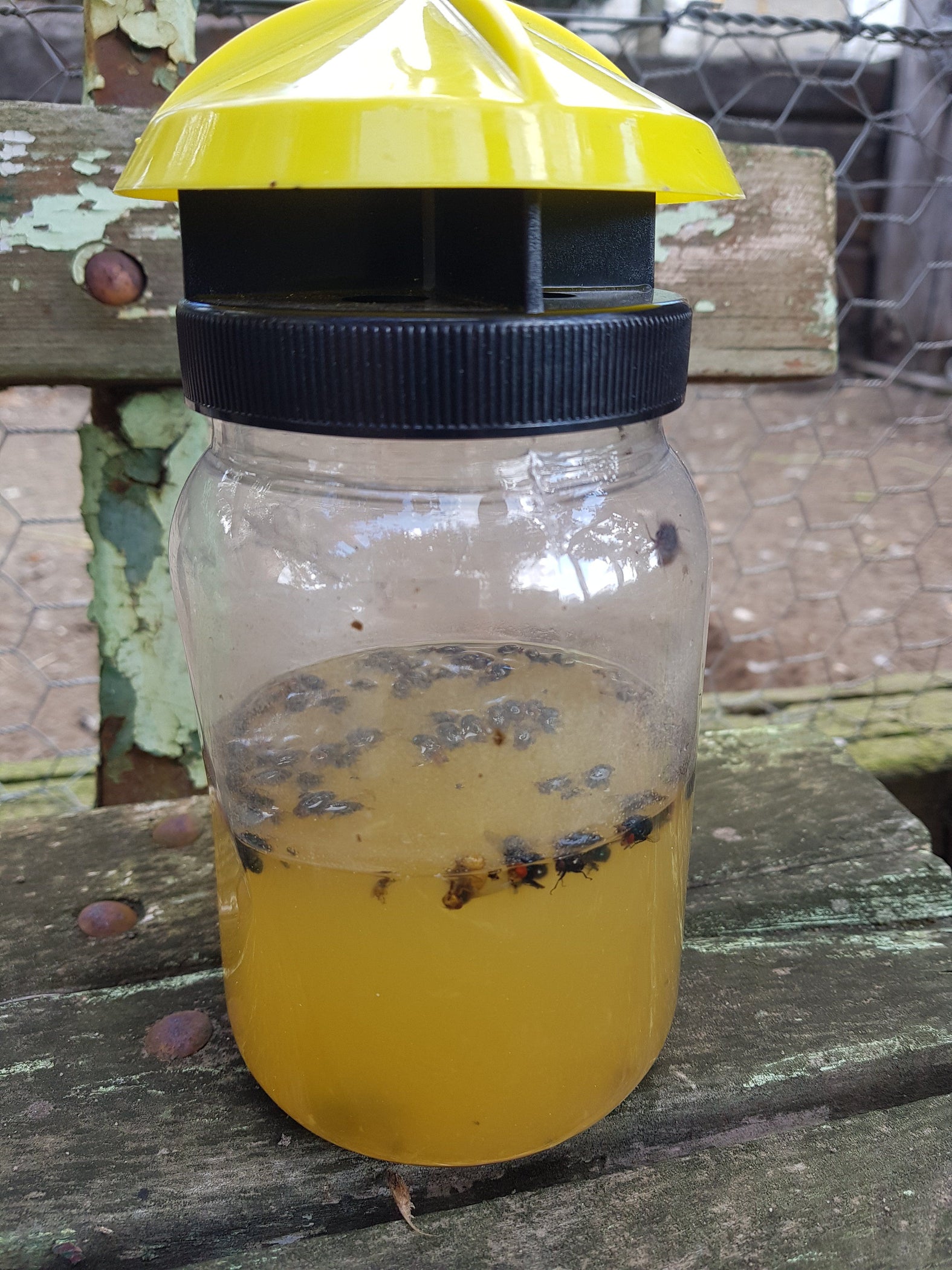 Bio Fly Trap with 1 Powder Satchel (Included) - Aussie Gardener