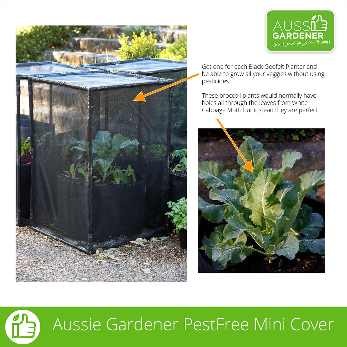 Aussie Gardener PestFree - Shop PestFree Mini Covers
