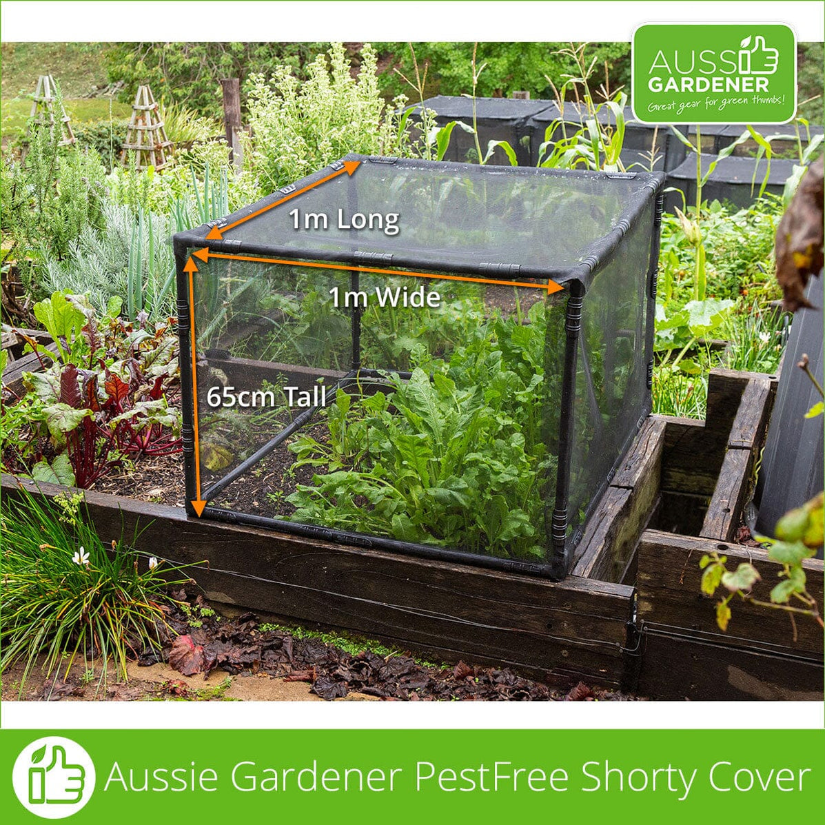 Aussie Gardener PestFree Shorty Cover - Insect protection net for ...